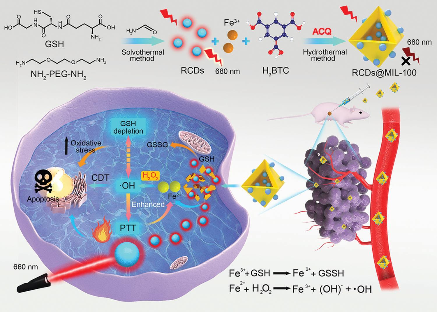 我校梁宏教授、赵书林教授和张亮亮教授课题组在肿瘤治疗研究领域取得重要成果